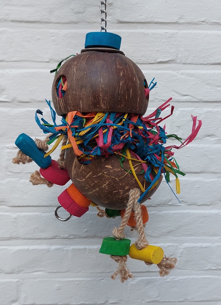 COCONUT FUN | Fun4Parrots